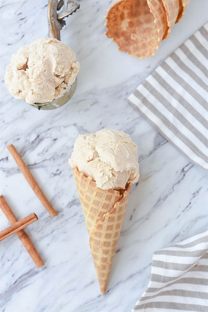 Cinnamon Ice Cream Recipe | Leigh Anne Wilkes