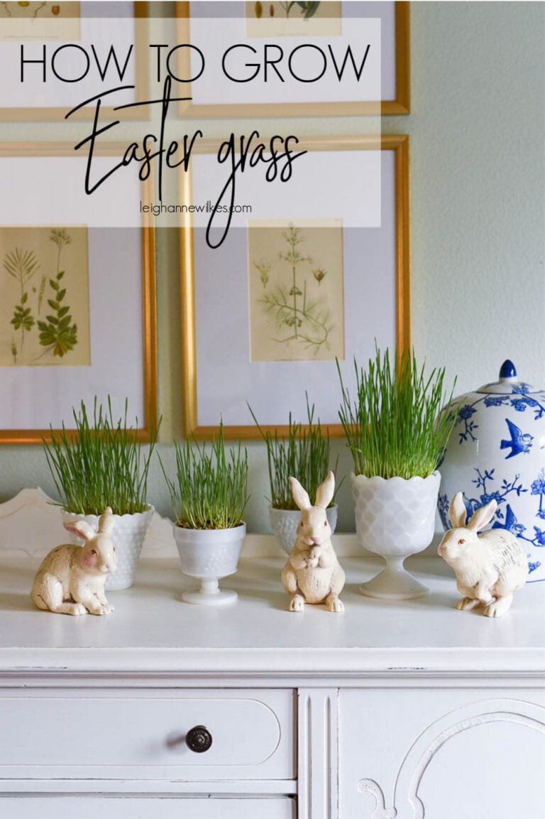 How to Grow Easter Grass | by Leigh Anne Wilkes
