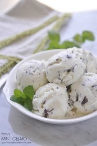 Mint Chocolate Chip Gelato | Leigh Anne Wilkes | Fresh Mint Gelato