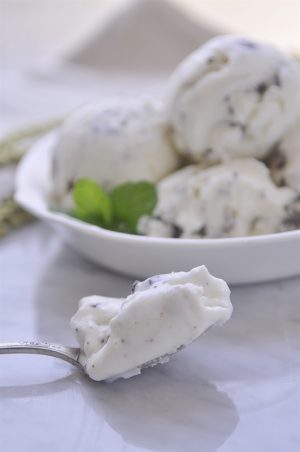 Mint Chocolate Chip Gelato | Leigh Anne Wilkes | Fresh Mint Gelato