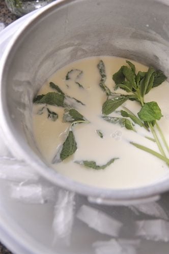 Mint Chocolate Chip Gelato | Leigh Anne Wilkes | Fresh Mint Gelato