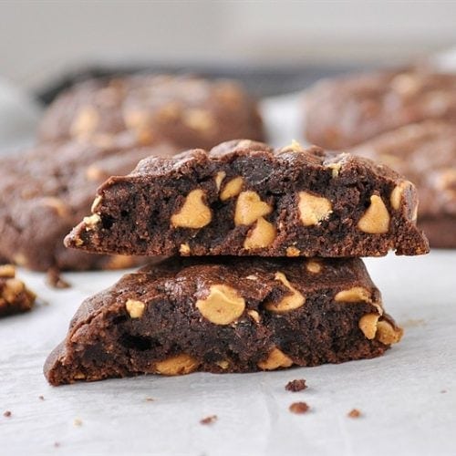 Chocolate Peanut Butter Cookies - Recipe from Your Homebased Mom