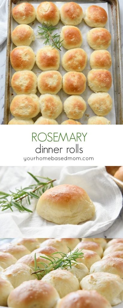 Rosemary Dinner Rolls Recipe | Your Homebased Mom