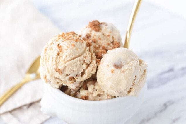 Cookie Butter Ice Cream | Leigh Anne Wilkes