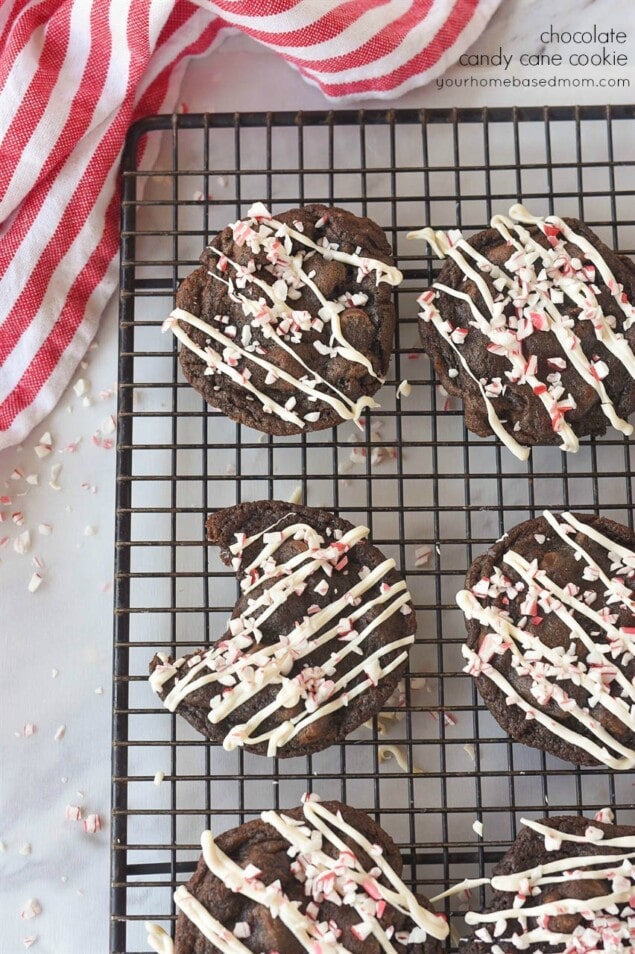 Chocolate Candy Cane Cookies | Leigh Anne Wilkes