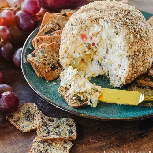 Cranberry Orange Cheese Ball | Leigh Anne Wilkes