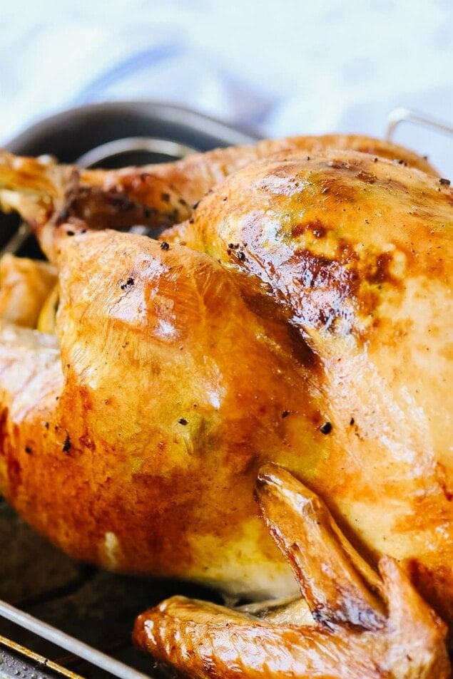 How to Cook the Perfect Turkey | Leigh Anne Wilkes
