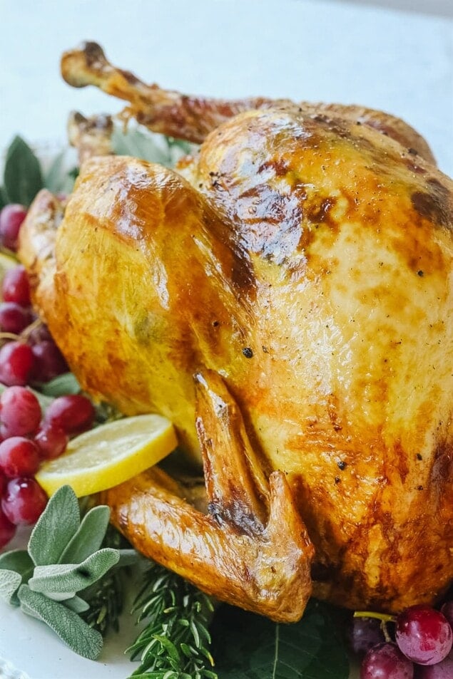 How to Cook the Perfect Turkey | Leigh Anne Wilkes
