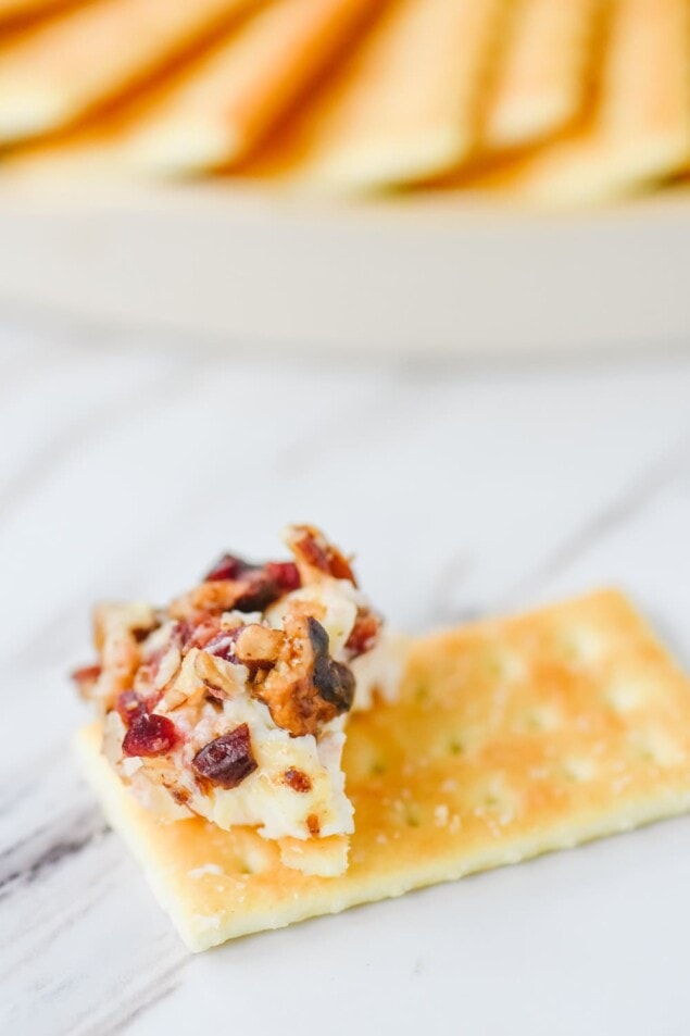 Orange Cranberry Cheese Ball | by Leigh Anne Wilkes