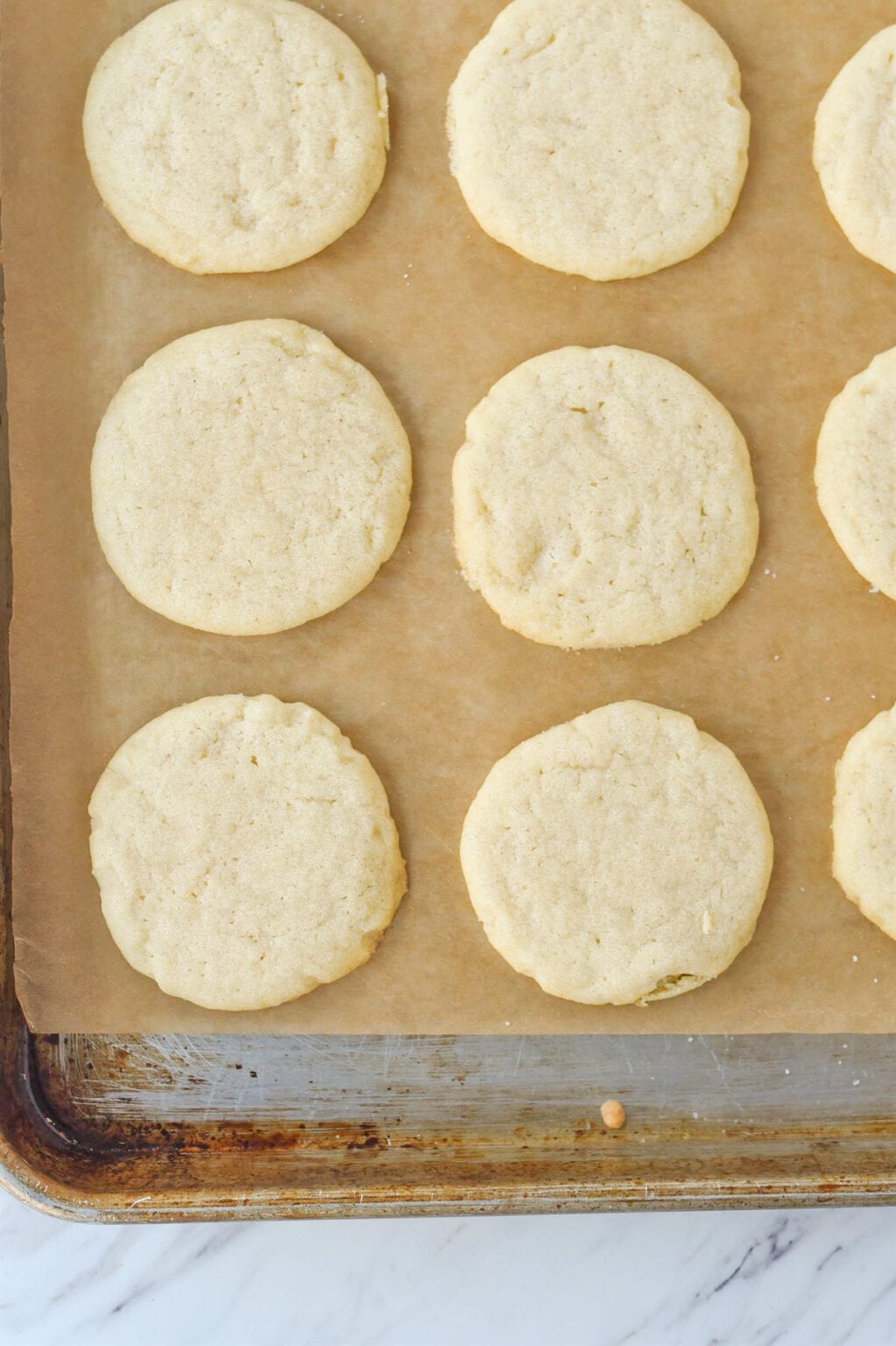 Angel Sugar Cookies | Leigh Anne Wilkes