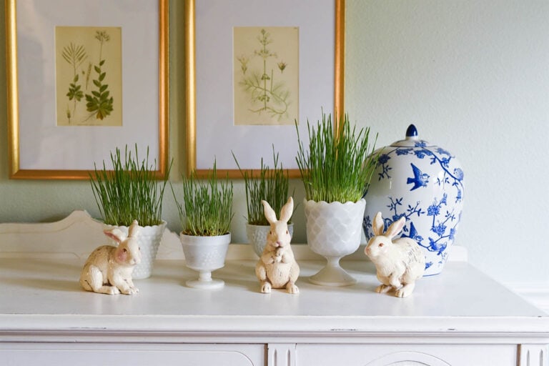 How to Grow Easter Grass | by Leigh Anne Wilkes