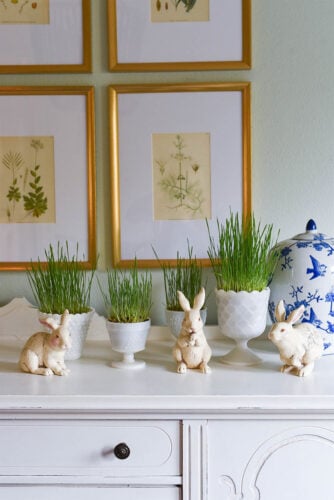 How to Grow Easter Grass | by Leigh Anne Wilkes