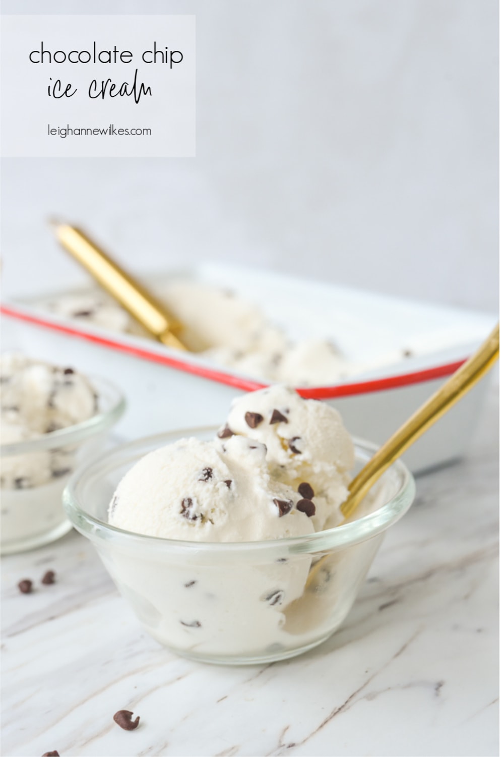 Homemade Chocolate Chip Ice Cream | by Leigh Anne Wilkes