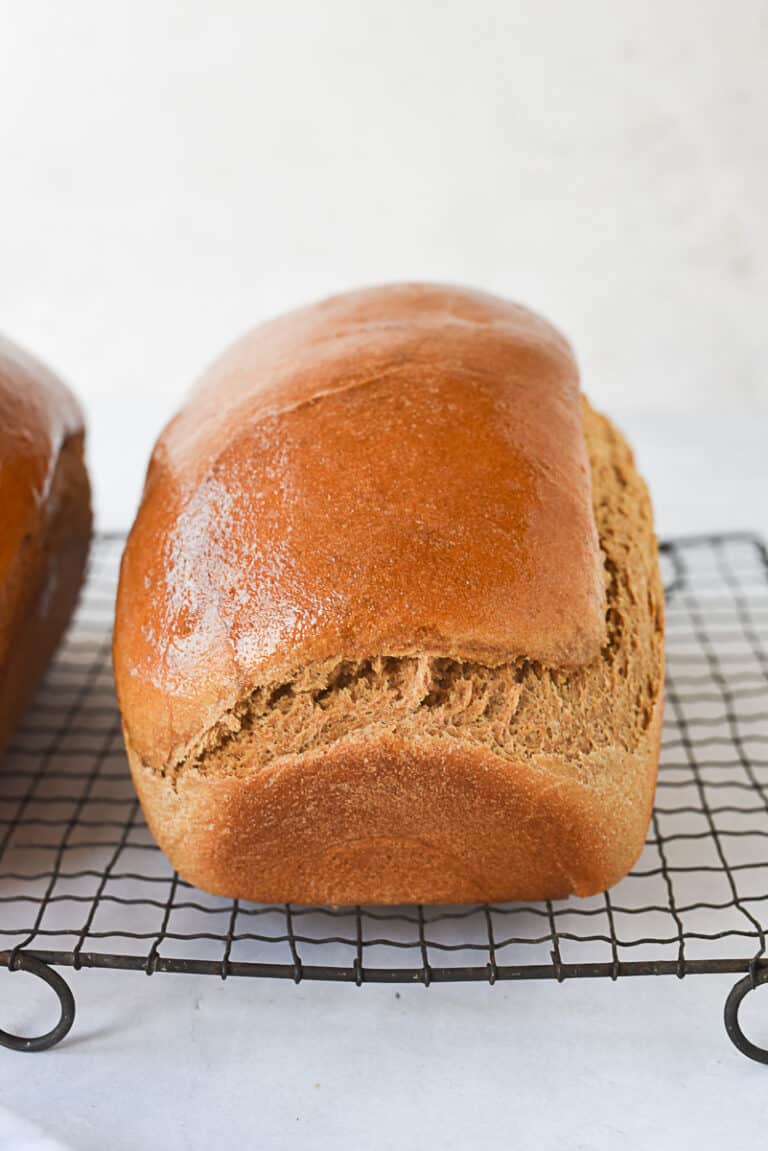 Whole Wheat Bread Recipe | Leigh Anne Wilkes