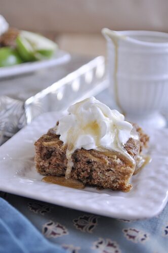 Apple Pudding Cake Recipe | by Leigh Anne Wilkes