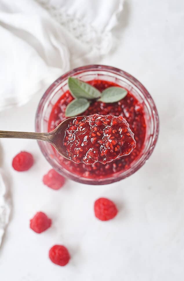 Raspberry Chipotle Sauce | Leigh Anne Wilkes