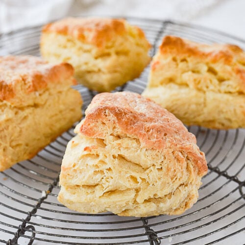 Recipes | Your Homebased Mom | Recipes by Category