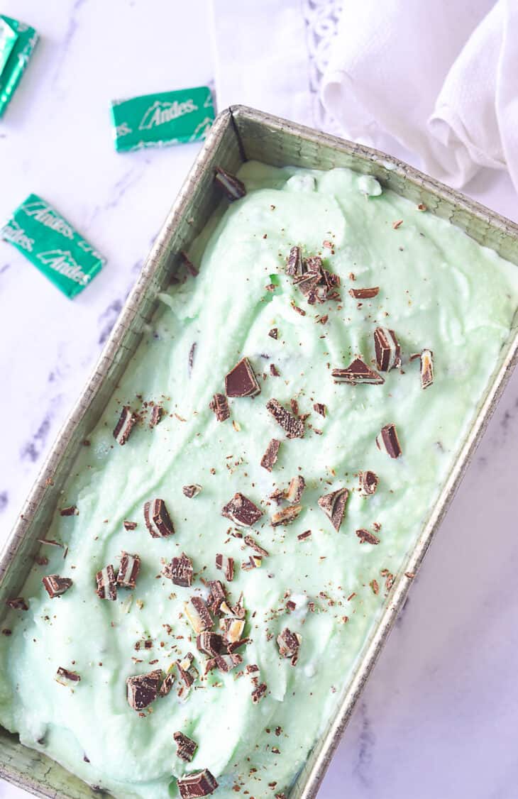 Mint Chocolate Chip Ice Cream | Recipe by Leigh Anne Wilkes