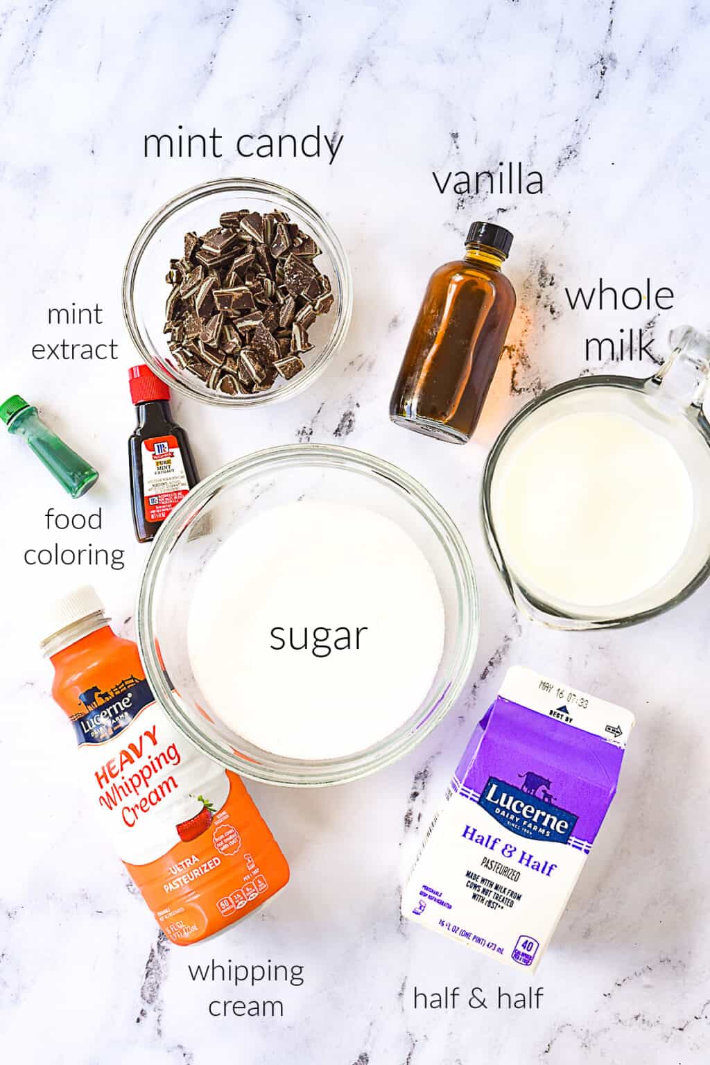 Mint Chocolate Chip Ice Cream | Leigh Anne Wilkes