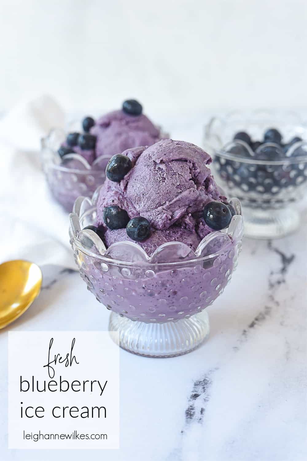 Fresh Blueberry Ice Cream | Recipe by Leigh Anne Wilkes