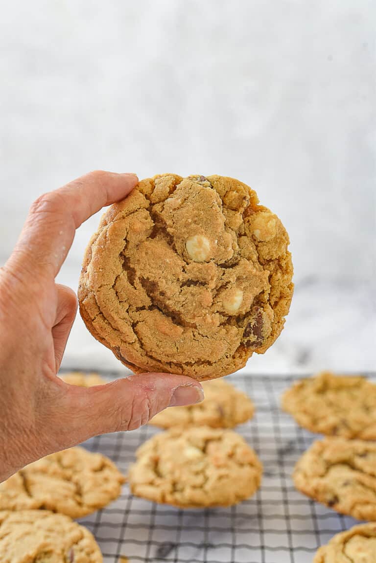Chocolate Malt Cookies | Recipe by Leigh Anne Wilkes