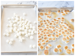 S'mores Ice Cream | Recipe by Leigh Anne Wilkes